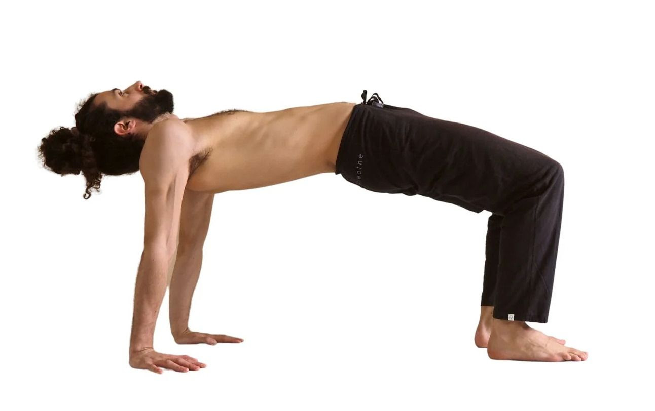 Crab Pose (Ardha purvottanasana) – Anna Godfrey